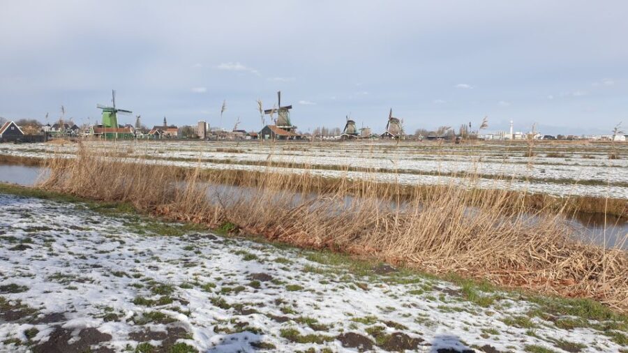 From Amsterdam: Small Group Zaanse Schans and Volendam Tour - Who Will Appreciate This Tour?