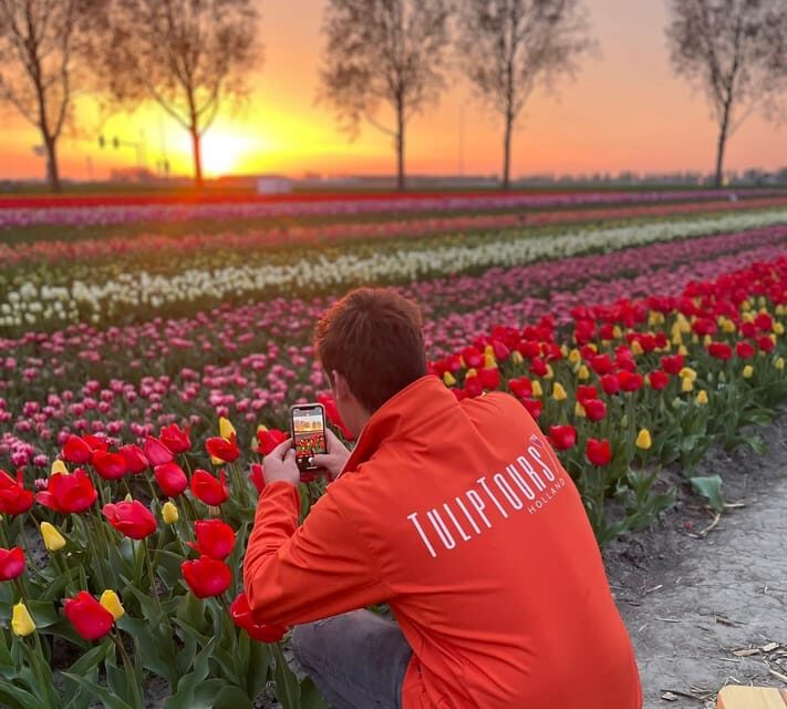 From Amsterdam: The Tulip Sunset Tour with Dinner - The Sum Up