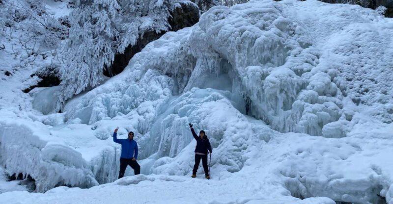 From Anchorage: Chugach State Park Winter Walking Tour - Key Points