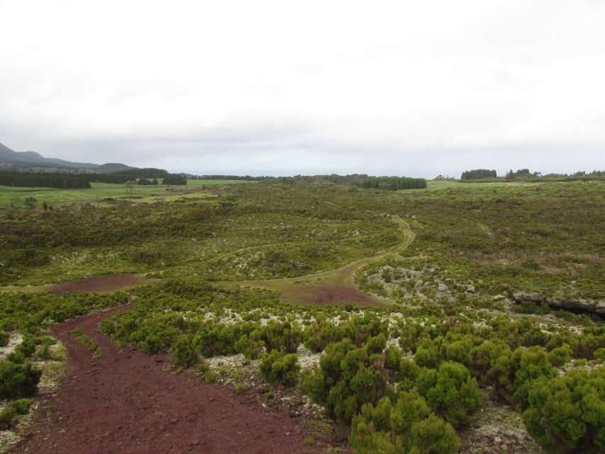 From Angra: Terceira Island Full-Day Jeep Tour (Shared Tour) - Why This Tour Offers Great Value