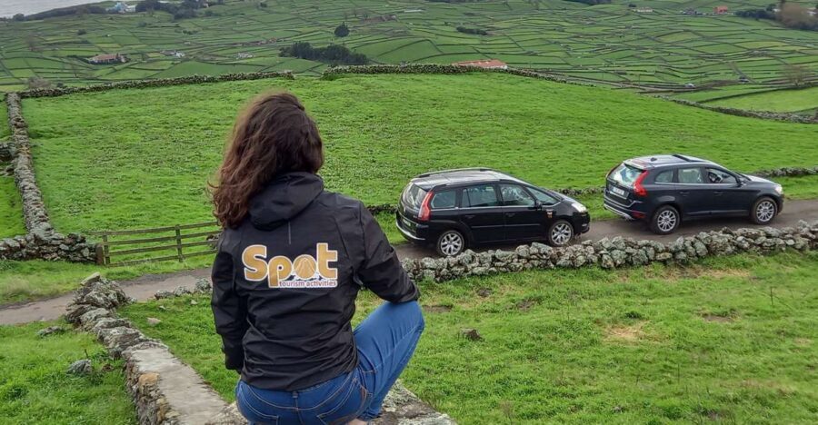 From Angra: Terceira Island Half-Day Tour (Shared Tour) - Why This Tour Offers Great Value