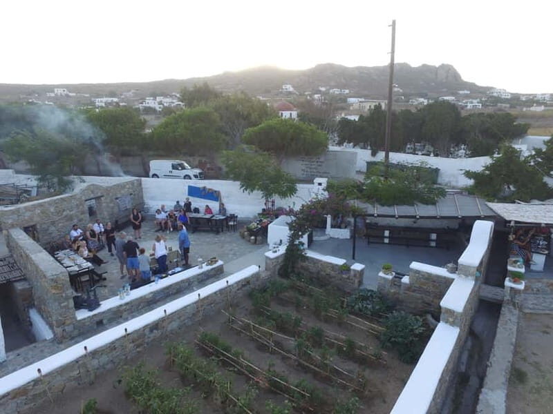 From Ano Mera: Day Tour & Wine Tasting with dinner At A Farm - Value and Practicalities