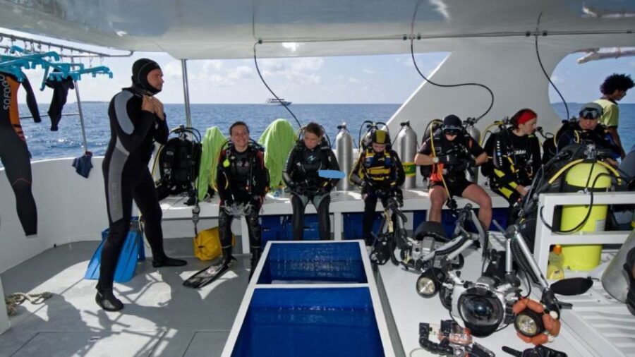 From Antalya| Kemer: Diving Tour with Experienced Instructor - Final Thoughts on the Experience