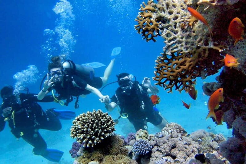 From Antalya: Scuba Diving With Lunch and Transfer - The Itinerary: What to Expect