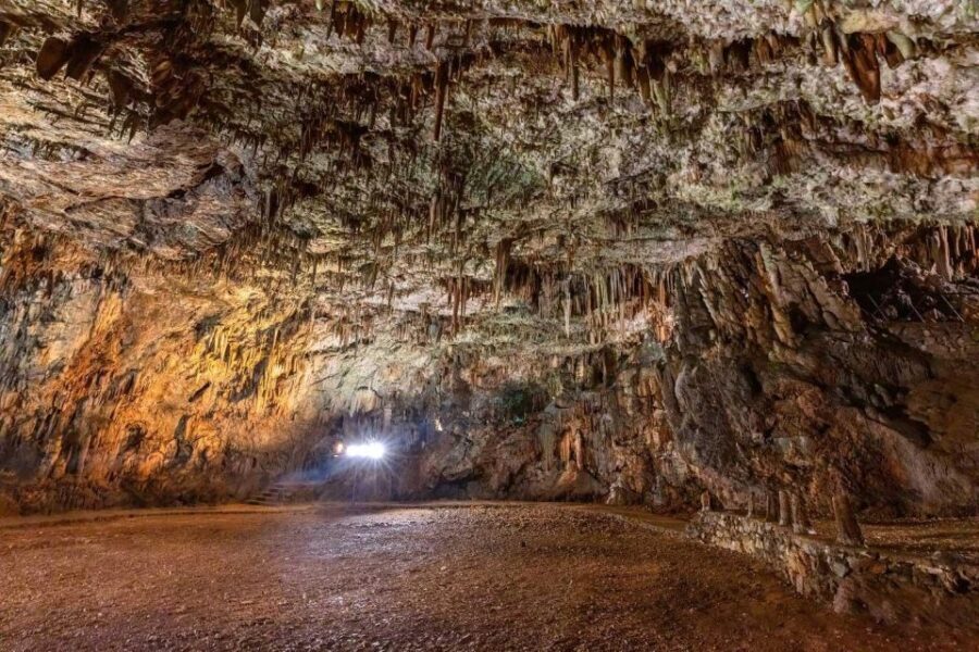 From Argostoli: Melissani & Drogarati Cave Shore Excursion - What Sets This Tour Apart in Terms of Value