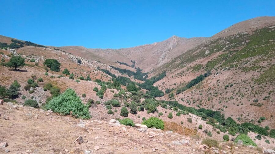 From Arzana: trekking to Punta La Marmora with aperitif - Why You’ll Love It