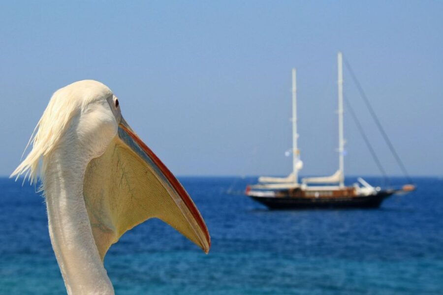 From Athens: 2-Day Santorini and Mykonos Trip - The Santorini Experience