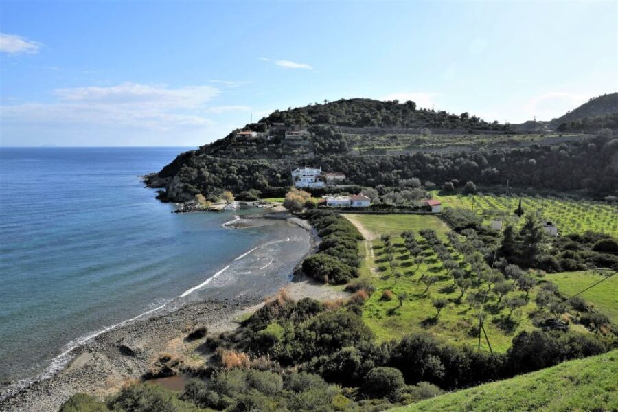 From Athens: Aegina Island E-Bike Tour with Ferry Tickets - What the Reviews Say