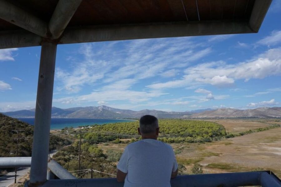 From Athens: Marathon and Thermopylae Full Day Private Trip - A Detailed Look at the Tour Experience