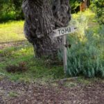 From Athens: Marathon Battlefield and Museum Private Tour - The Practicalities of the Tour