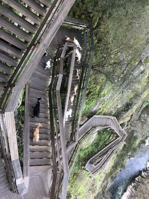 From Aveiro - Paiva Walkways and 516 Bridge - The itinerary: A detailed look