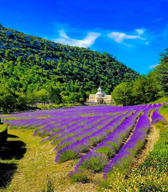 From Avignon: Provence Highlights Full-Day Tour - What Makes This Tour a Great Deal
