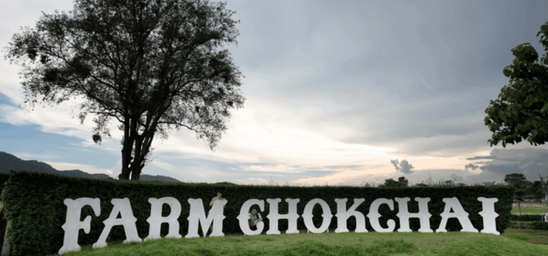 From Bangkok: Khao Yai Private Charter with Multiple Options - The Sum Up
