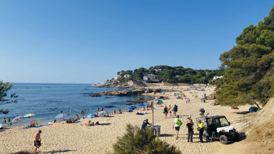 From Barcelona: Costa Brava Trails, Snorkeling & Cliff Jump - Why This Tour Offers Great Value