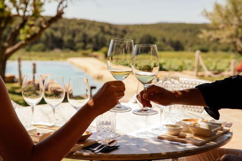 From Barcelona: Penedès Premium Wine Tasting & Gourmet Tapas - Scenic Drive and Authentic Charm