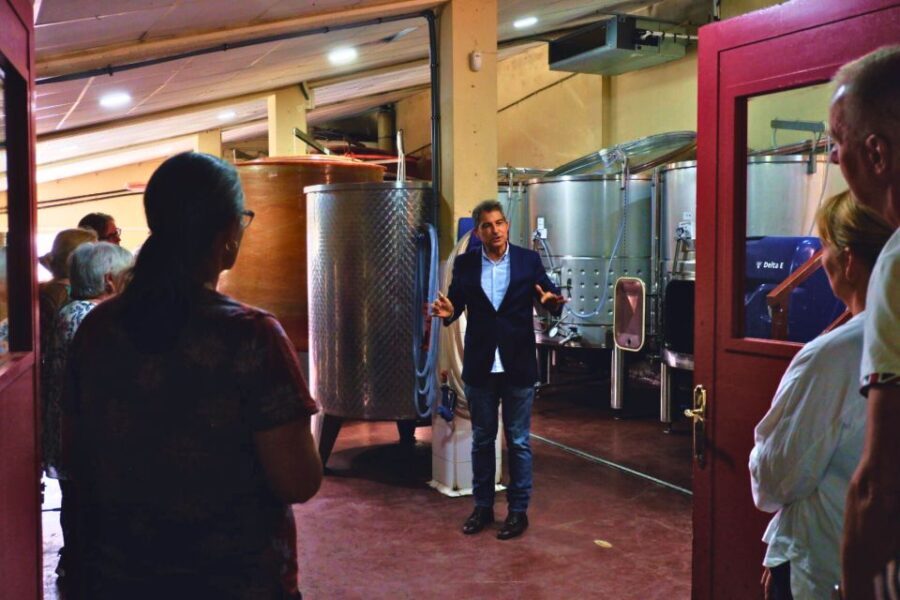 From Barcelona: Priorat's Exclusive Cellars, Wines & Nature - The Day in Detail: What to Expect
