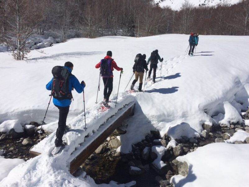 From Barcelona: Snowshoeing in the Pyrenees - Key Points