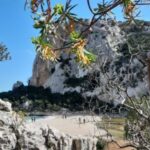 From Baunei: Cala Luna and Dorgali Full-Day Guided Trek - What’s Included and What You Should Know