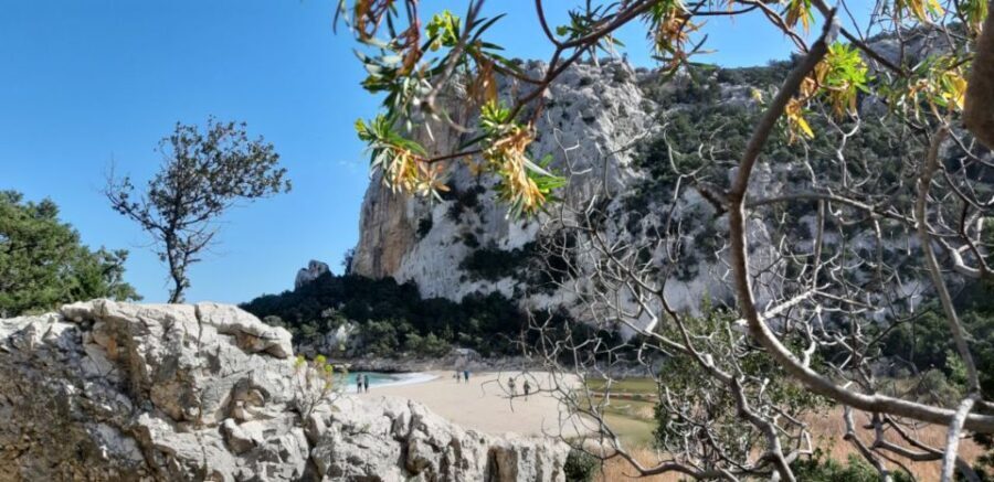 From Baunei: Cala Luna and Dorgali Full-Day Guided Trek - What’s Included and What You Should Know