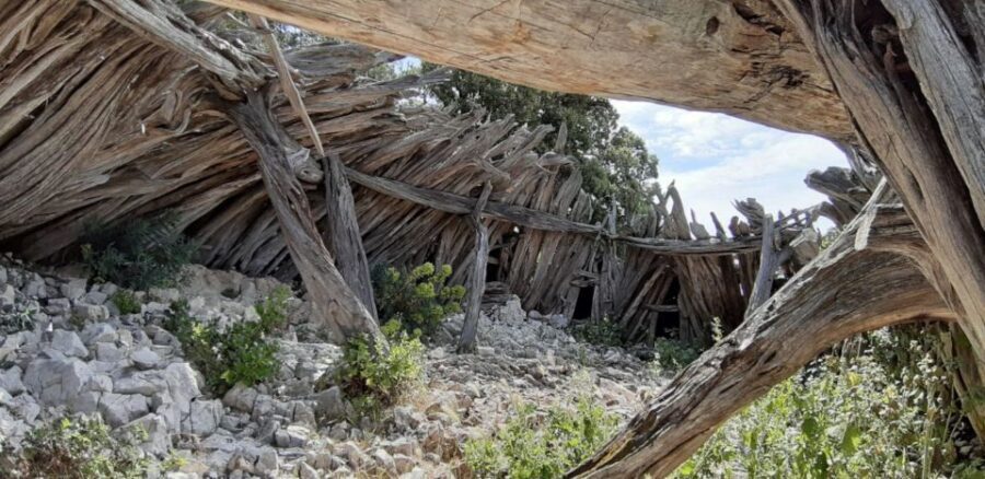 From Baunei: Cala Mariolu Hiking Tour - The Practicalities: Transportation, Meals, and What to Bring