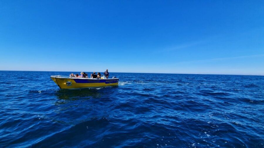 From Benagil: Benagil Cave & Marinha Beach Express Tour - The Value of This Experience