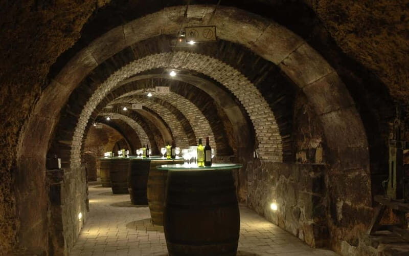 From Bilbao: La Rioja Wineries Day Trip with Wine Tastings - A Deep Dive into the Tour Experience