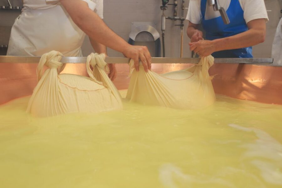 From Bologna: Parma Cheese & Ham Factory Tours and Tastings - Practical Details and Considerations