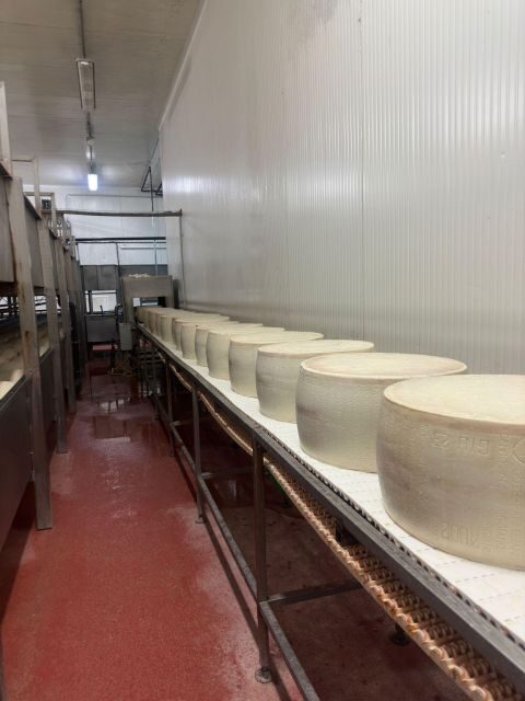 From Bologna: Parmesan Cheese & Balsamic Vinegar Tour+Lunch - The Journey Begins with Comfort and Convenience