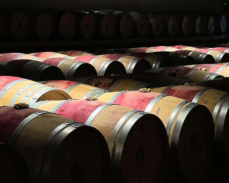 From Bordeaux: Afternoon Wine Tasting in the Medoc Region - An In-Depth Look at the Tour Experience