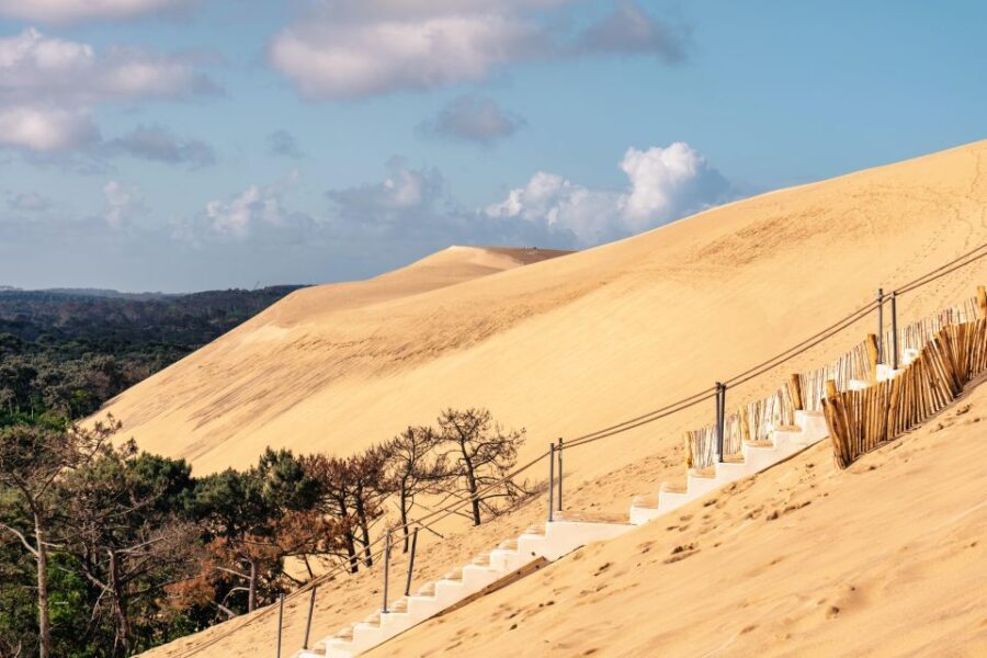 From Bordeaux: Arcachon Bay Full Day Tour and Oyster Lunch - The Itinerary Breakdown