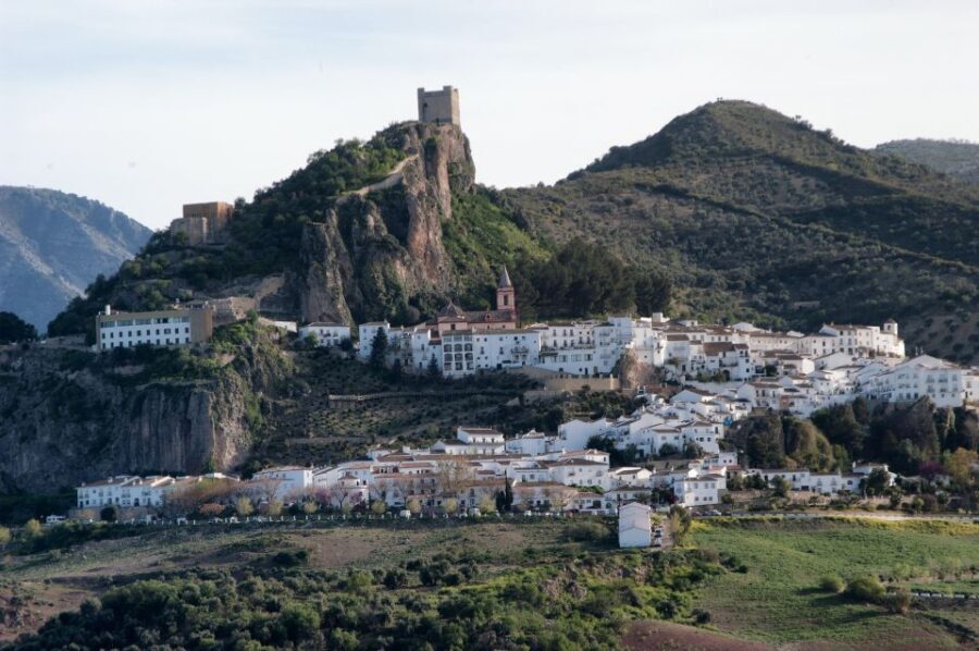 From Cadiz: Private Tour of Cadiz and Jerez de la Frontera - Authentic Experiences and Traveler Feedback