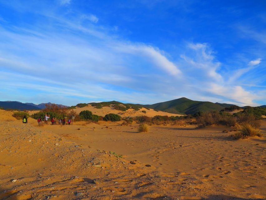 From Cagliari: Piscinas Old Mines and Montevecchio Tour - The Breath-Taking Dunes at Piscinas