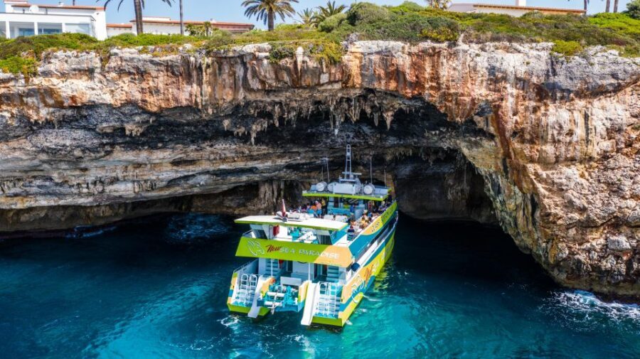 From Cala Bona: East Coast Glass-Bottom Boat Trip - What You’ll See and Do