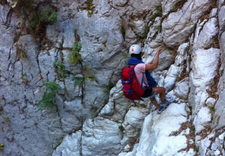 From Cala Gonone: Canyon Codula Fuili Climbing Tour - Why This Tour Offers Great Value