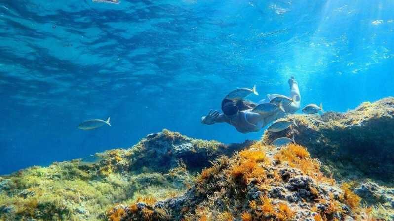 From Cala Gonone: snorkeling in the Orosei Gulf - Exploring the Itinerary: What You Can Expect