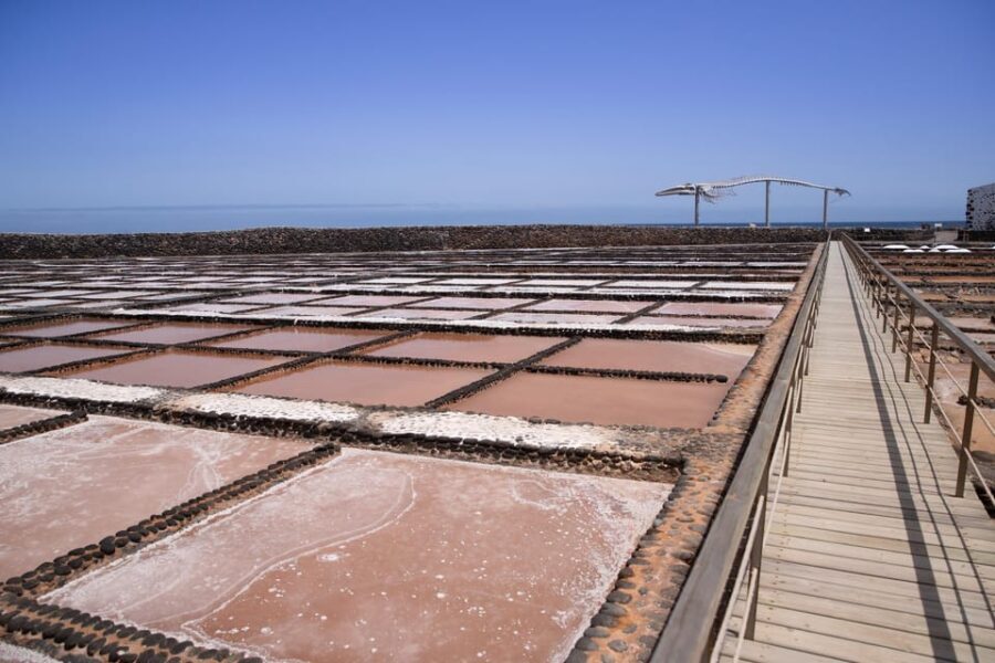 From Caleta de Fuste: Explore Rural Fuerteventura Tour - What Makes This Tour Stand Out
