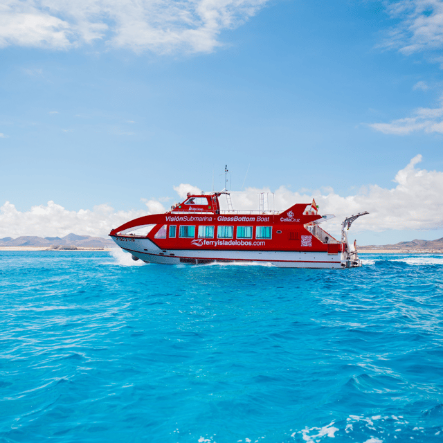 From Caleta de Fuste: Return Bus and Ferry to Lobos Island - Authentic Experiences from Travelers