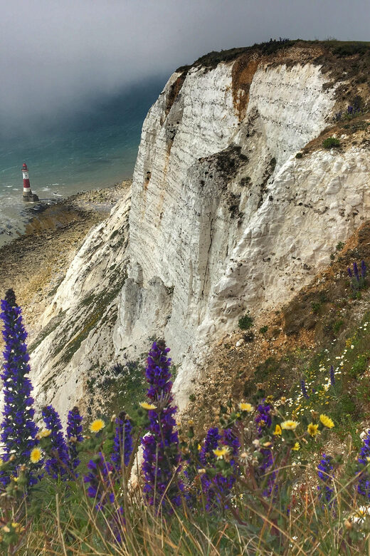 From Cambridge: Guided day trip to Brighton & Beachy Head - Exploring Brighton