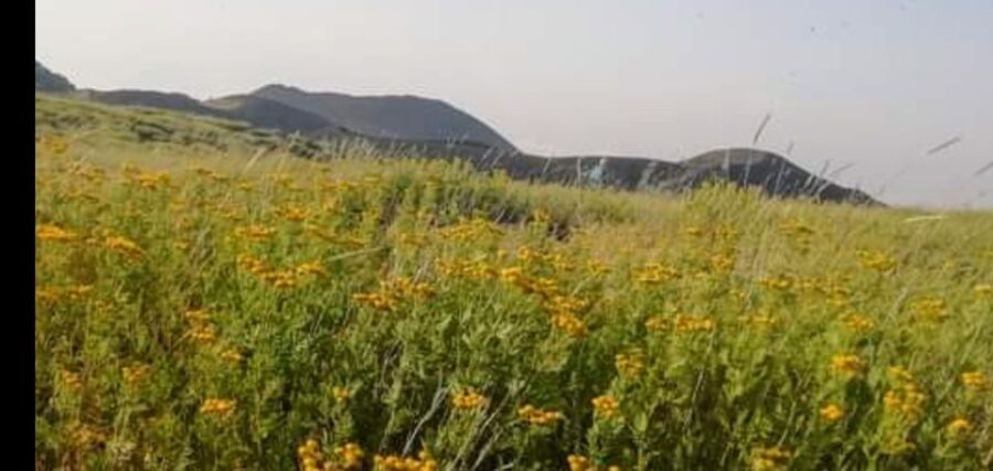 From Catania, Acireale, Giarre: Mount Etna Half-Day Trip - Crater Walks and Lunar Landscapes