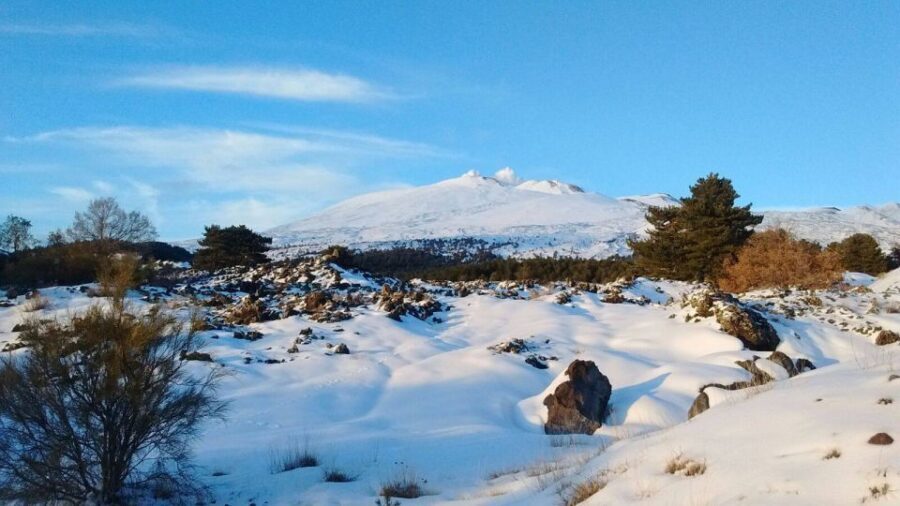 From Catania: Guided Tour of Mount Etna and Taormina - Evaluating the Value for Money