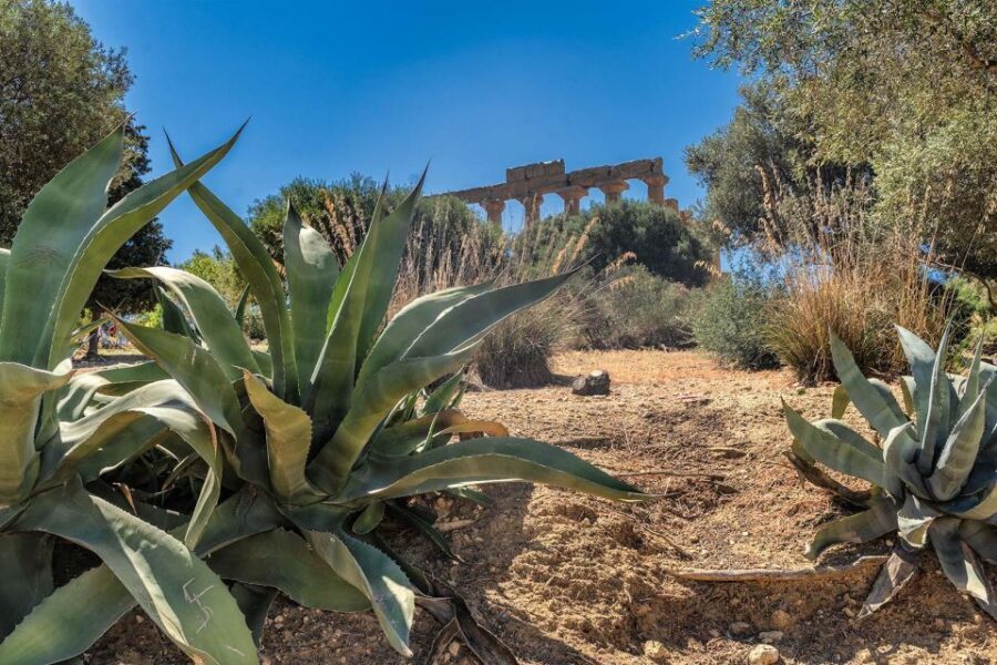 From Cefalù: Guided Tour to Agrigento Valley of the Temples - Who Will Love This Tour?