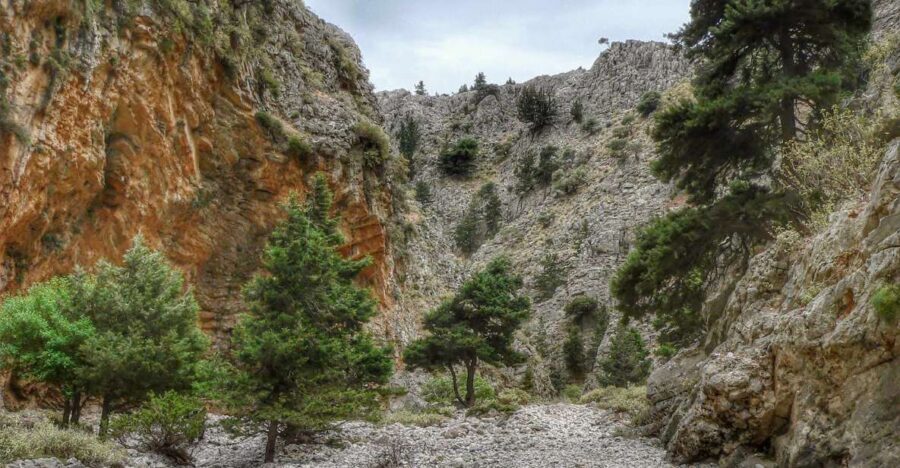 From Chania/Almyrida : Imbros Gorge Hike - What the Reviews Say