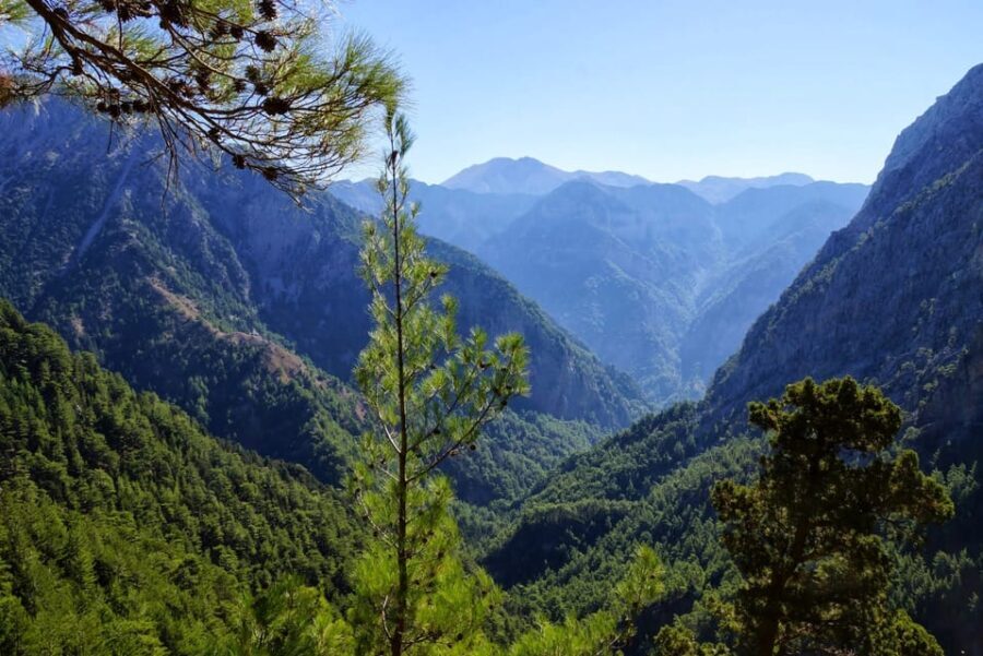 From Chania/Rethymno: Samaria Gorge Easy Way - Pricing and Value Analysis