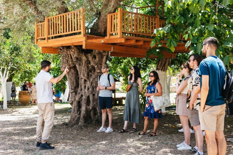 From Chania: Wine and Olive Oil Tasting Tour with Snacks - Practical Aspects and Value