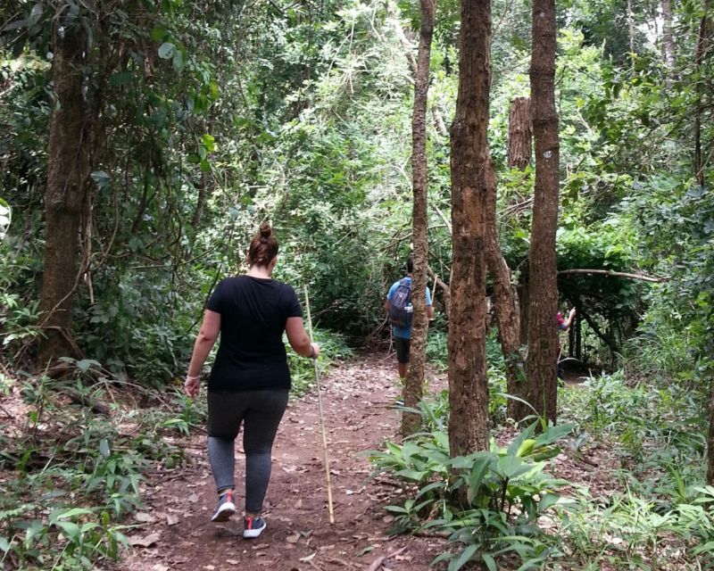From Chiang Mai: Doi Inthanon National Park Day Trip & Hike - Key Points