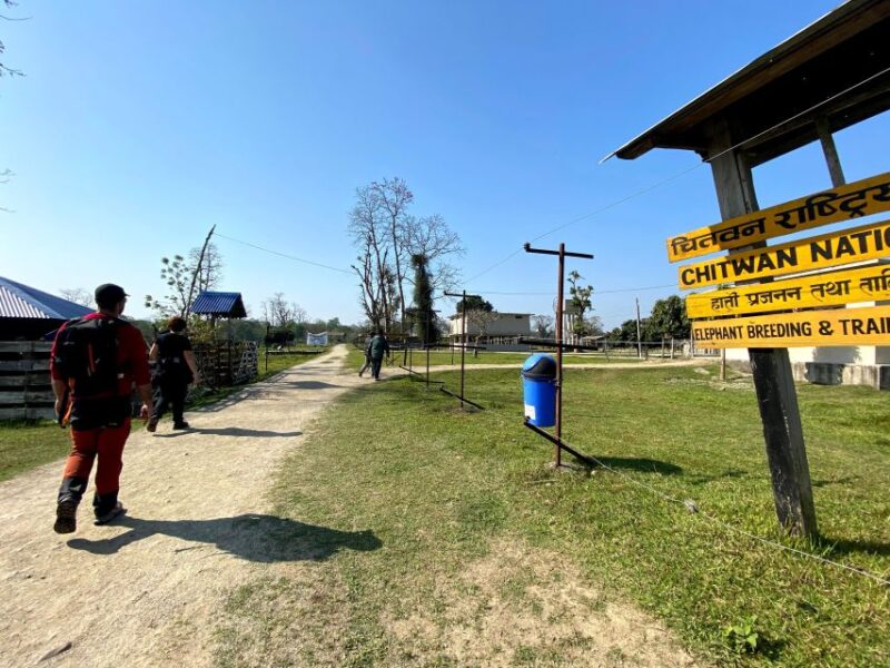 From Chitwan : Half Day Jeep Safari Tour - What to Expect from the Safari