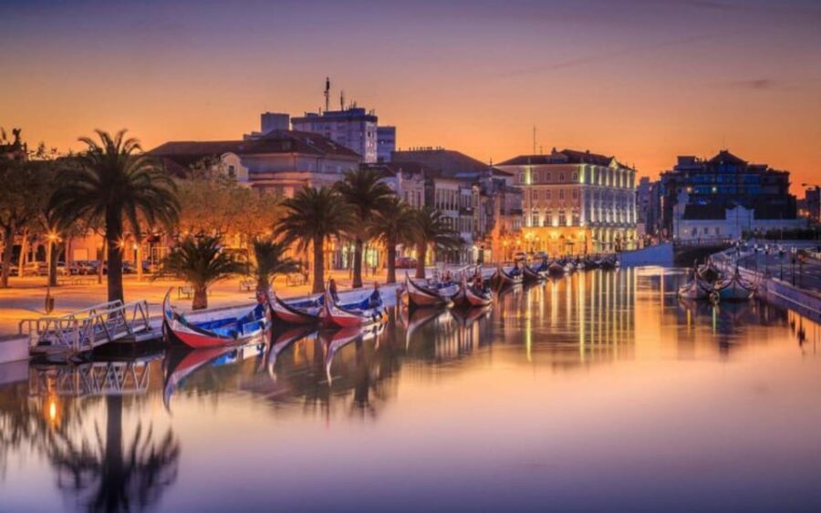 From Coimbra: Porto, Aveiro and Douro in Private with Tasting and Cruise - A Full Day of Portugal’s Highlights, Carefully Crafted