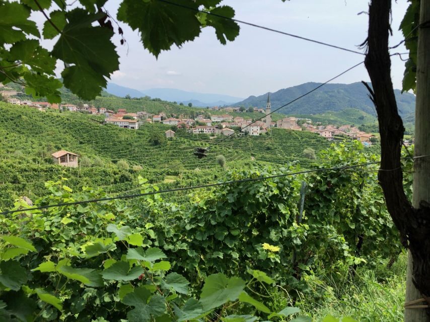 From Conegliano: Prosecco Hills Wine and Cheese Tasting Tour - Practical Details and Why They Matter