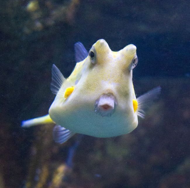 From Costa Brava: Barcelona Day Trip with Aquarium Visit - Transport, Duration, and Practicalities