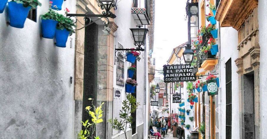From Costa del Sol: Day Trip to Cordoba Free Time - The Practical Details